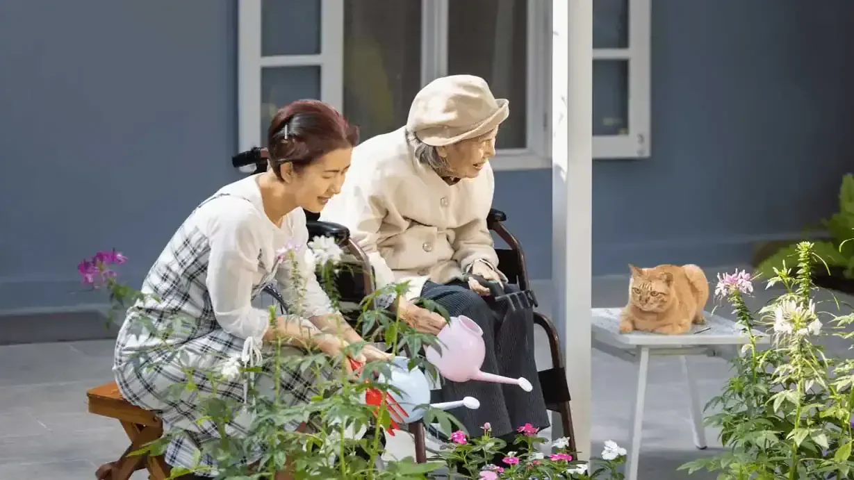 What’s the difference between CHSP and HCP? | Let's Get Care